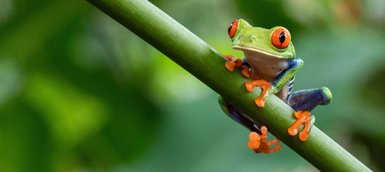 High-Speed Doors | Dynaco Europe Nv | Homepage | DYNACO