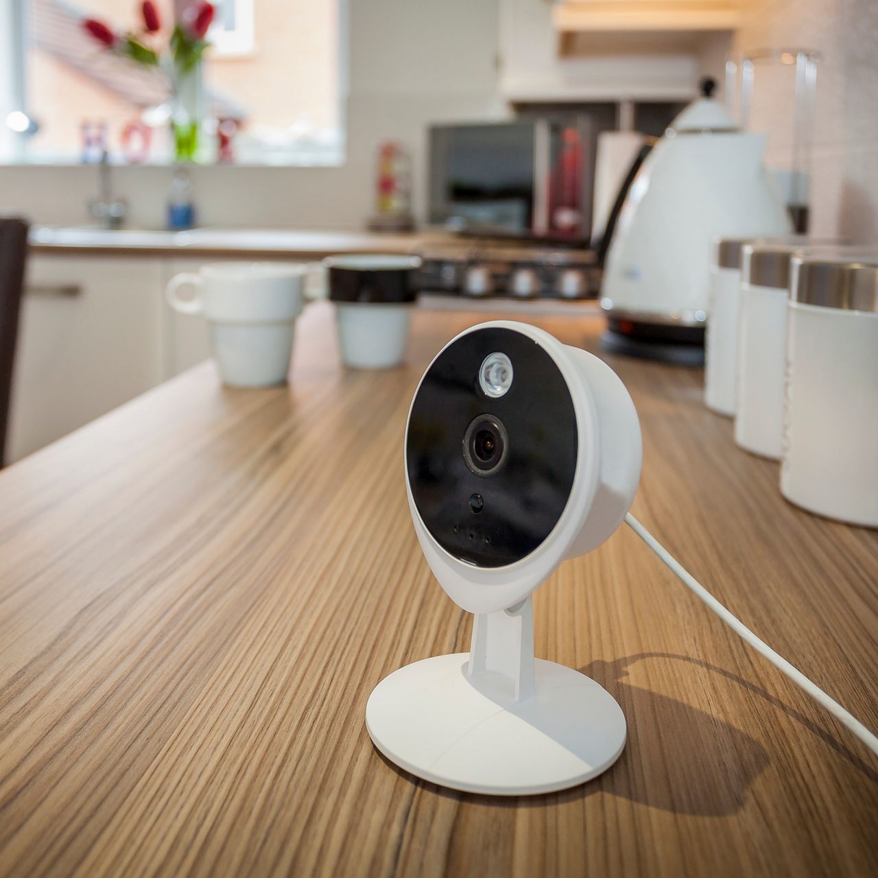 Home View Cameras PTZ | Yale