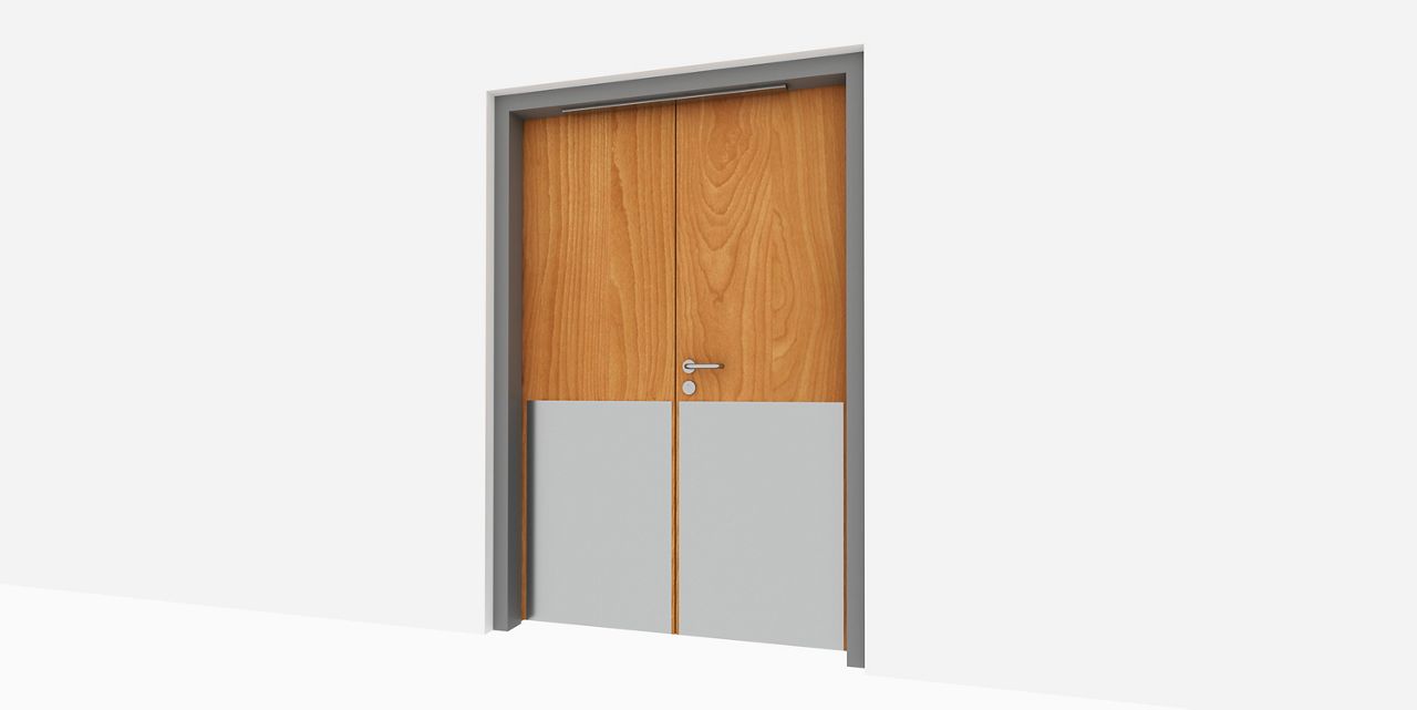 Steel Frame Wooden Leaf Hospital Lobby Door –Double | ASSA ABLOY