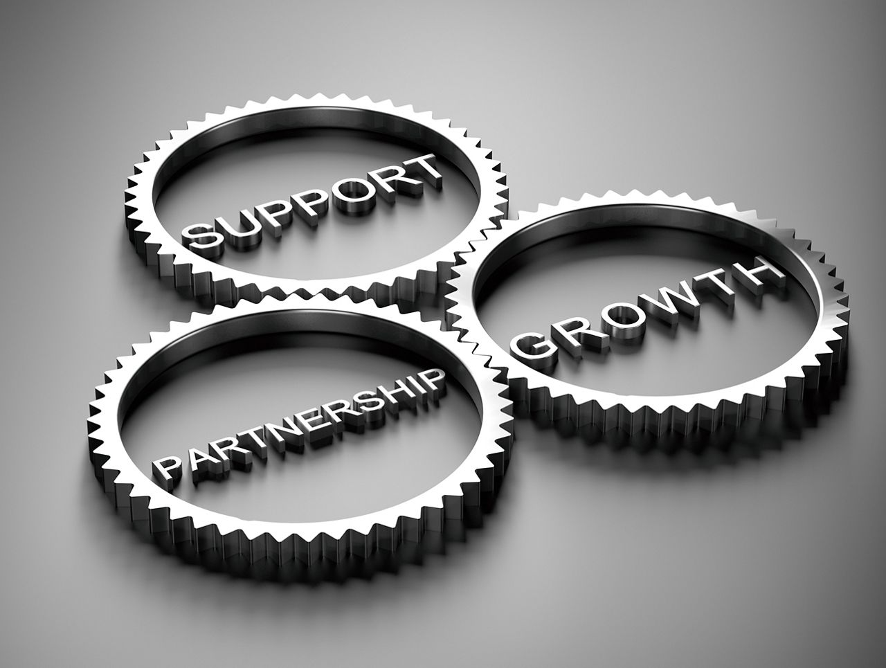 Distributor Focused | Record