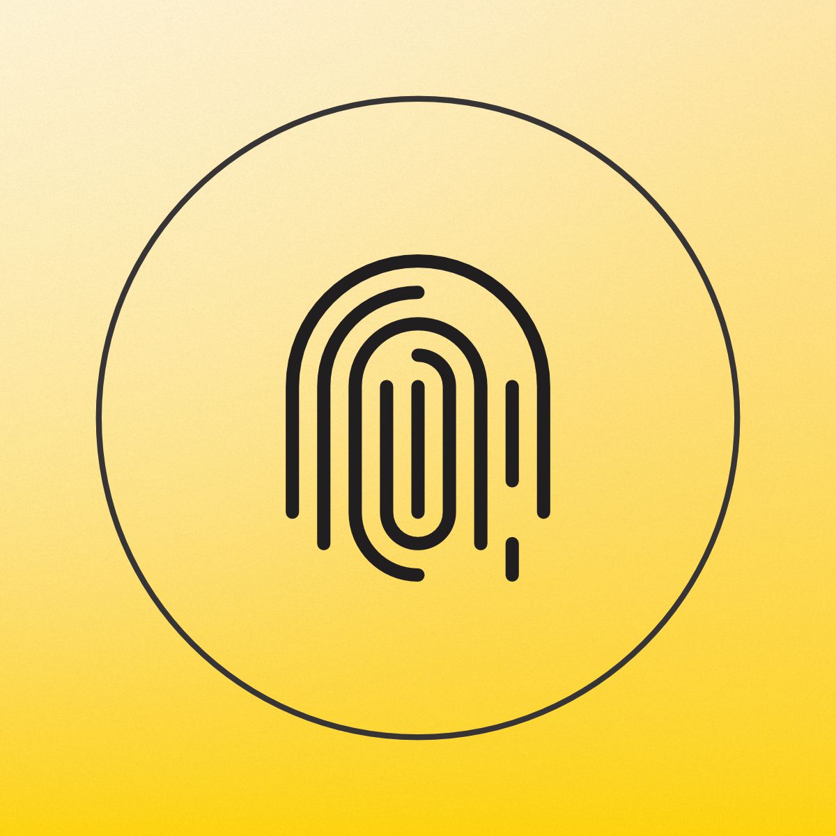 YDM 4115 A BR | Yale